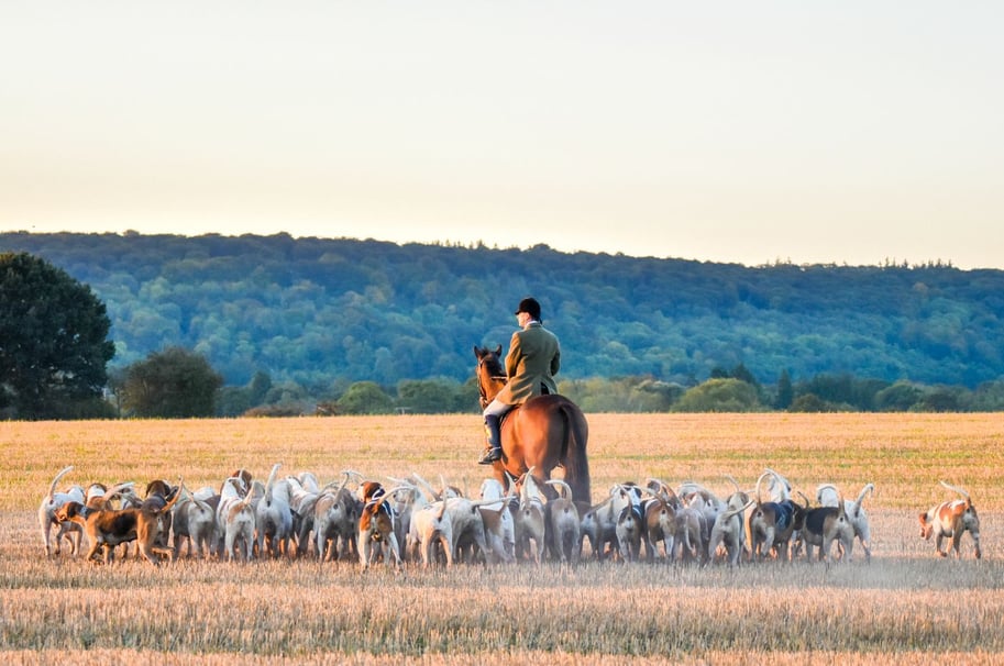 Campaign for Hunting | Countryside Alliance