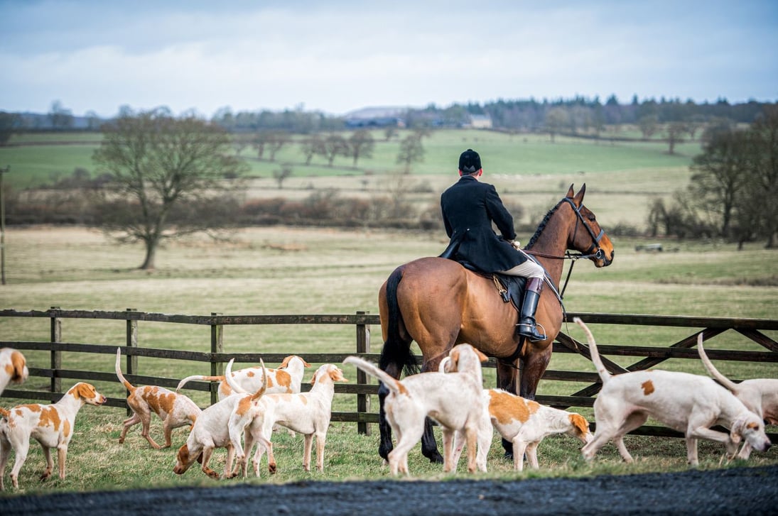 Partnerships | Countryside Alliance