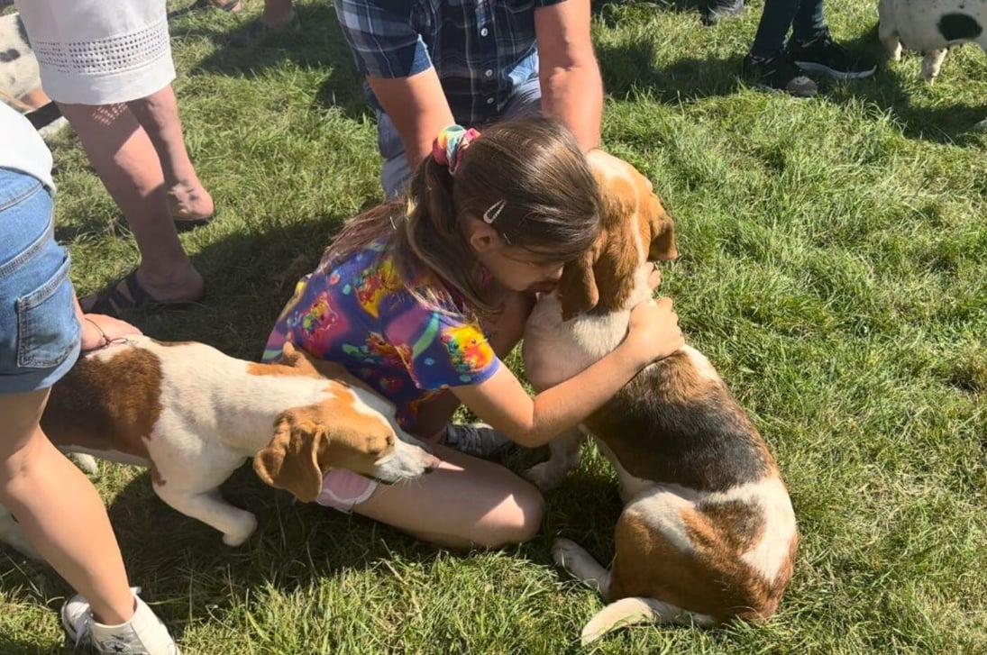 Countryside Alliance | The Voice of the Countryside