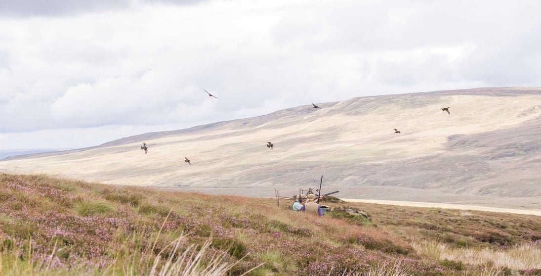 Shooting Season Calendar UK | Countryside Alliance