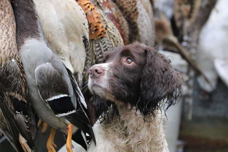 Campaign for Communities | Countryside Alliance