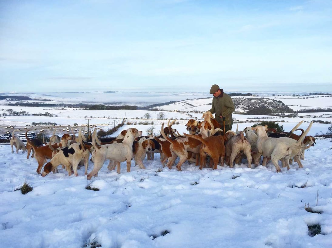 The Countryside Alliance guide to trail-hunting