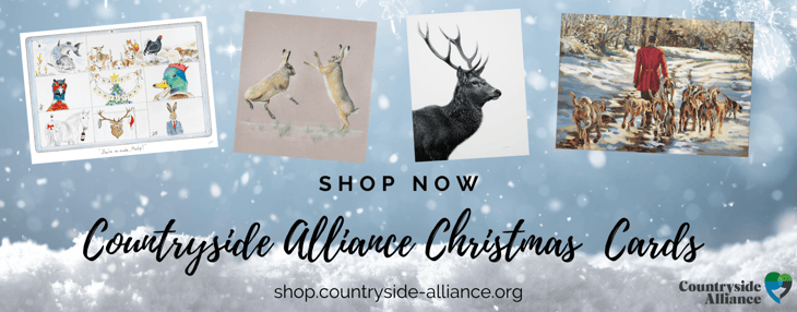 Countryside Alliance Christmas cards: Meet the artists