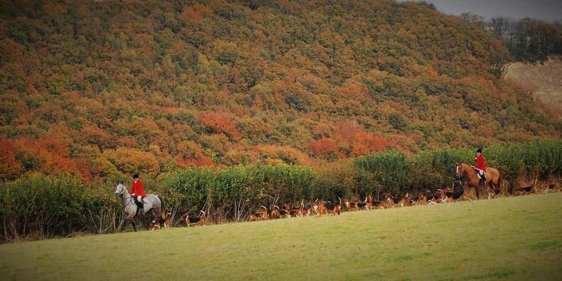 The Countryside Alliance guide to trail-hunting