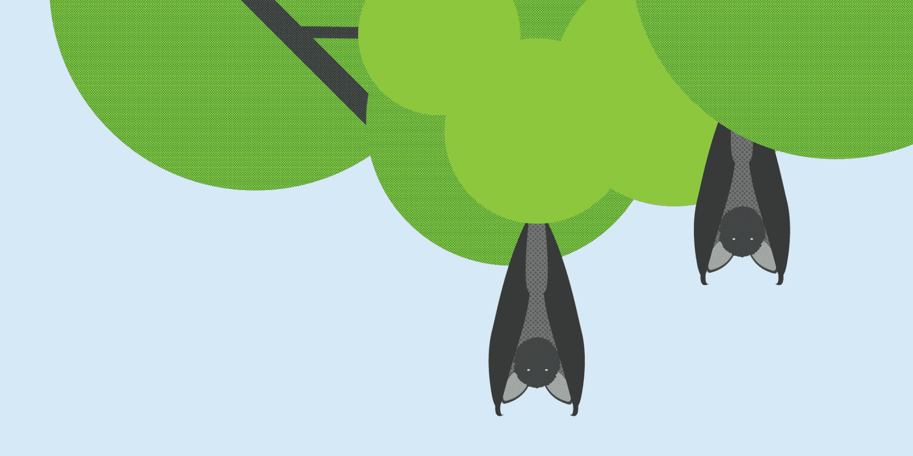 Dr Richard Benwell, Wildfowl & Wetlands Trust