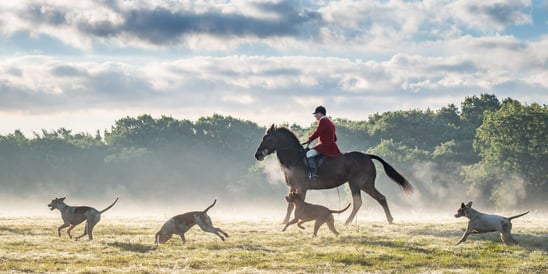 Campaign for Hunting | Countryside Alliance