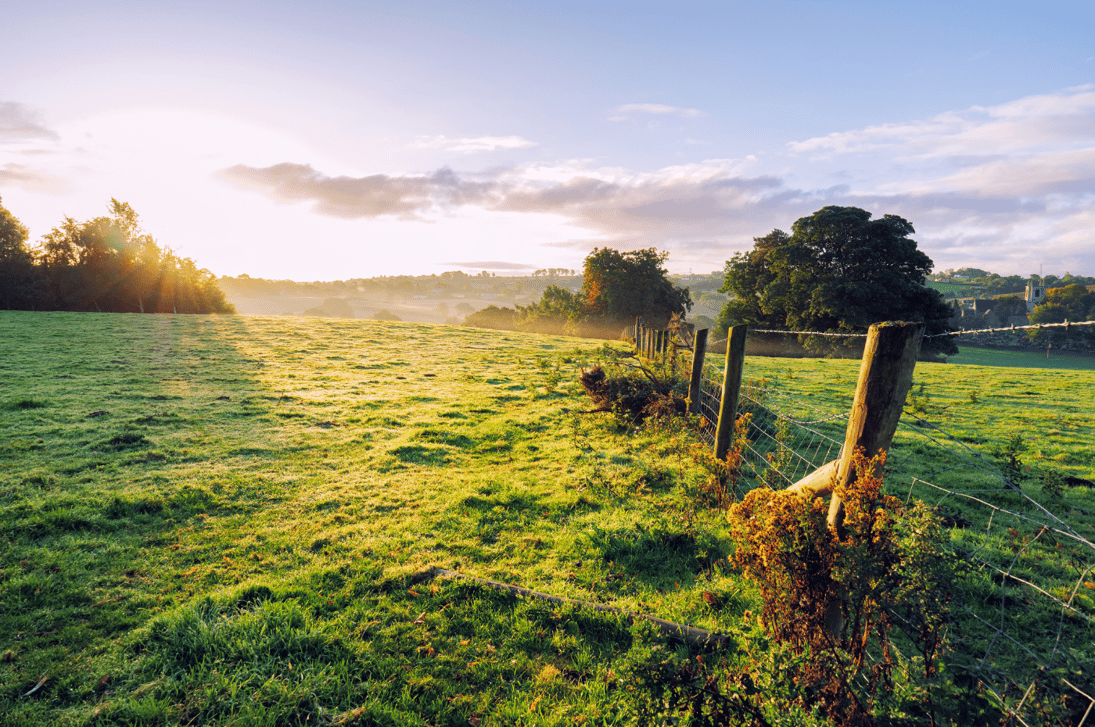 Boxing Day Meets | Countryside Alliance