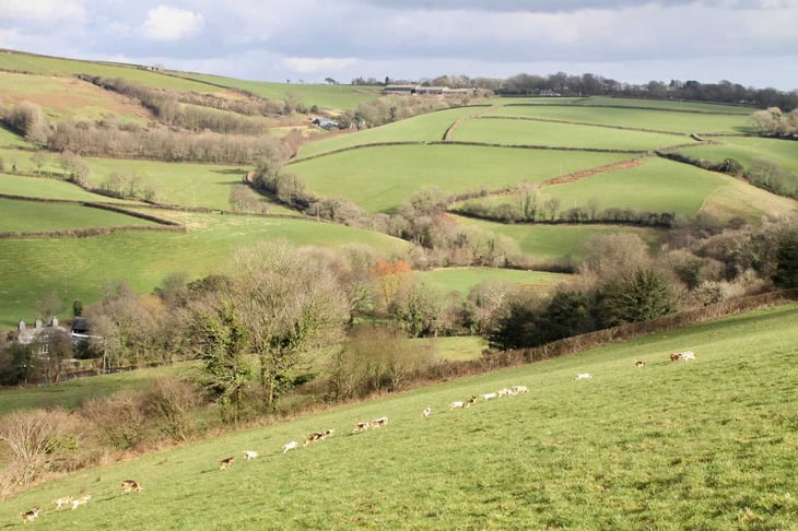 Campaign for Communities | Countryside Alliance