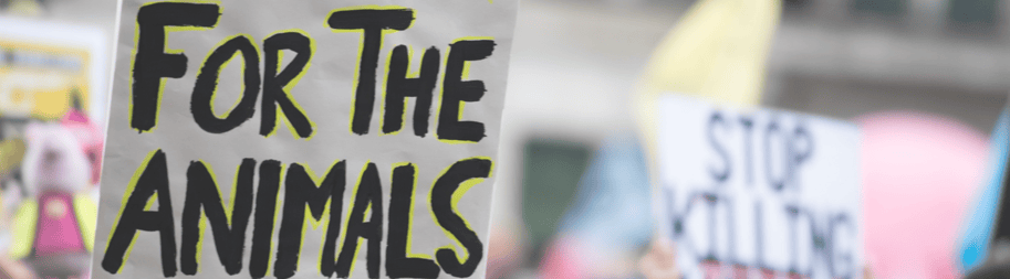 Bristol students praised for rejecting meat and dairy ban at its ...