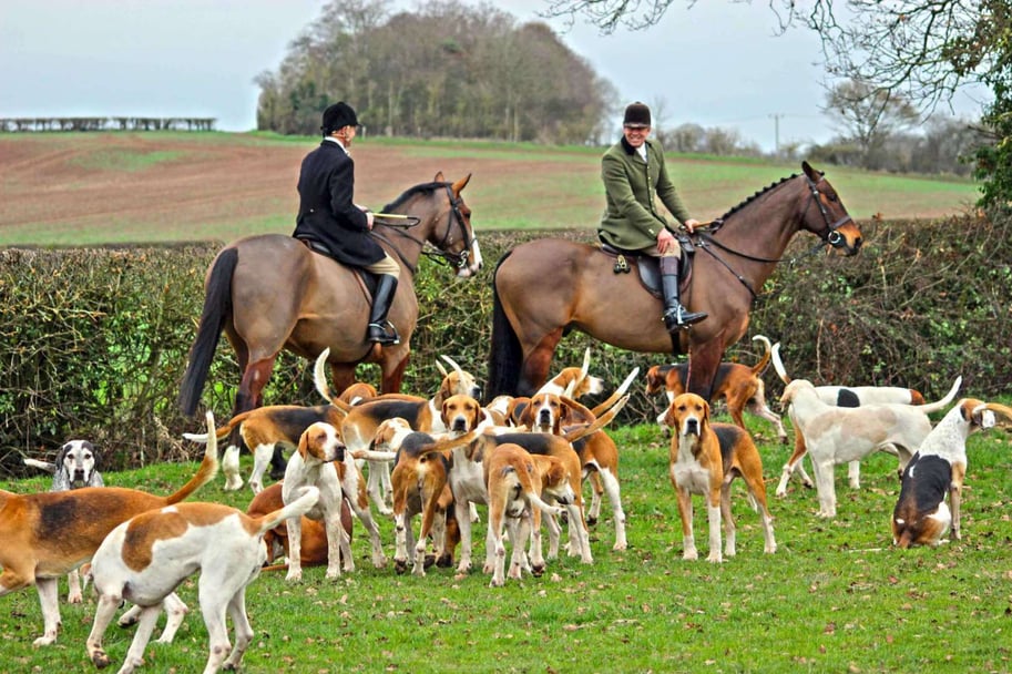 The Warwickshire's Professional Huntsman'sTestimonial