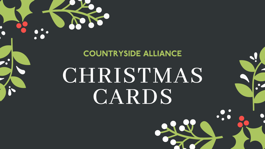 Christmas all wrapped up