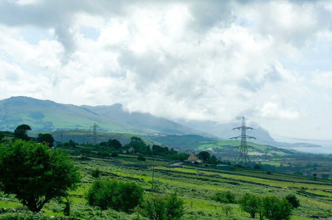 Countryside Alliance Wales
