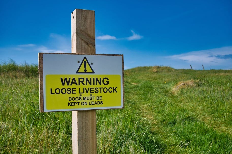 Countryside Alliance | The Voice of the Countryside