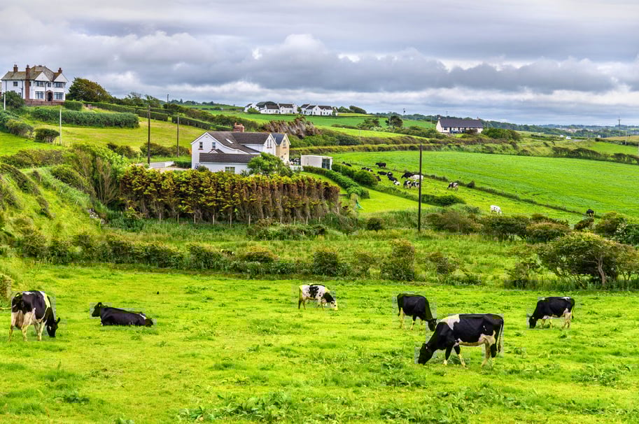 Countryside Alliance | The Voice of the Countryside