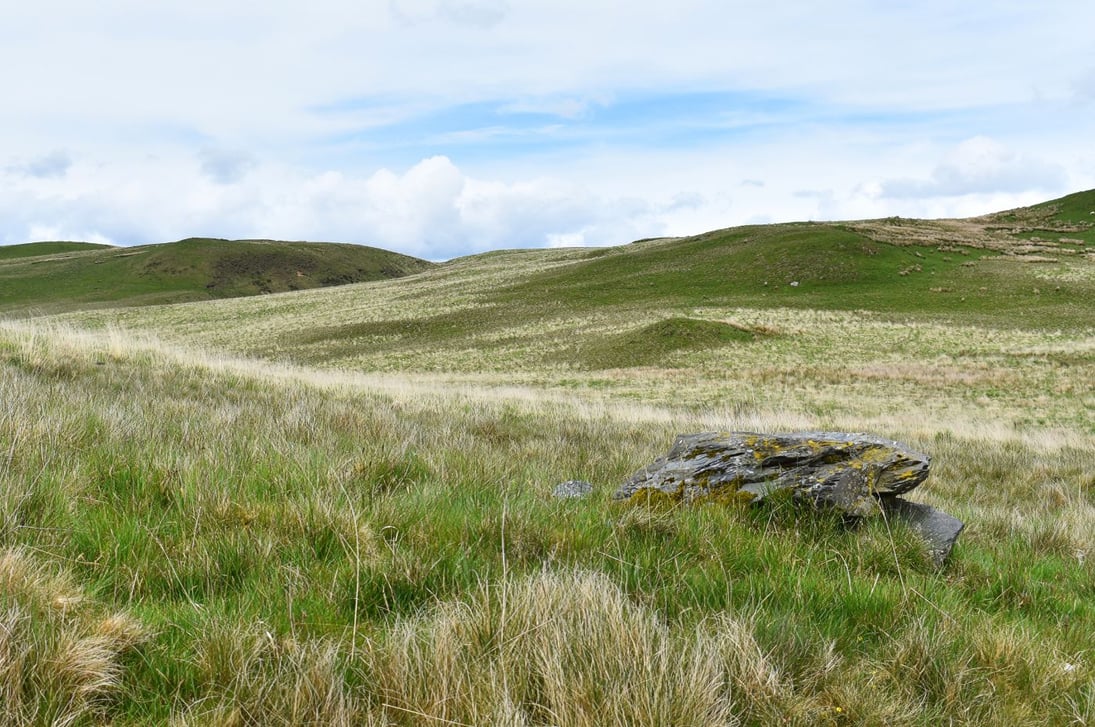 Countryside Alliance Wales