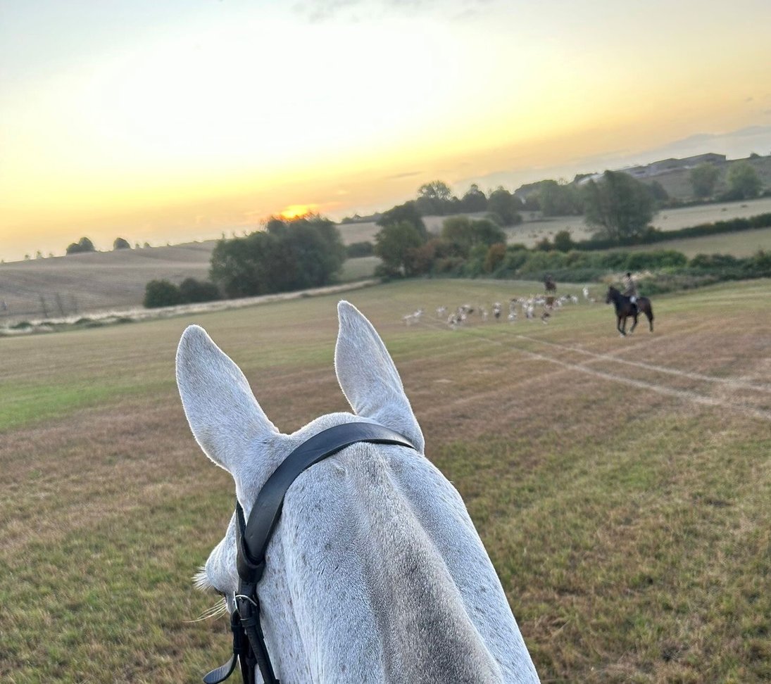 Countryside Alliance | The Voice of the Countryside