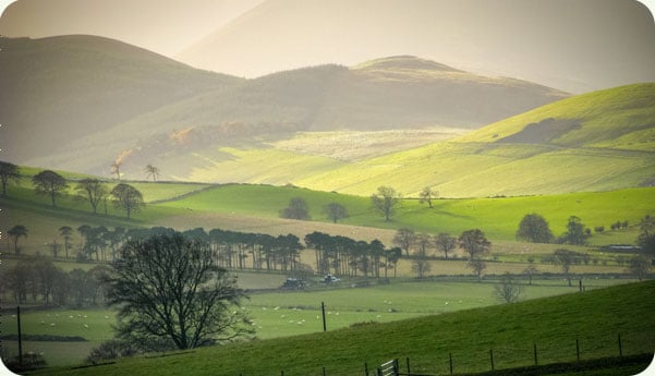 Campaigns for Hunting, Shooting, Fishing & Protect Rural Communities ...