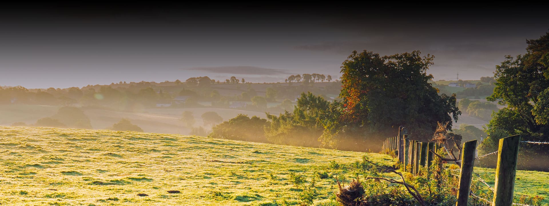 Countryside Alliance Northern Ireland